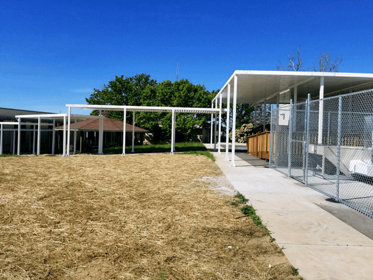 Walkway Canopy Design Elements - What You Need to Know